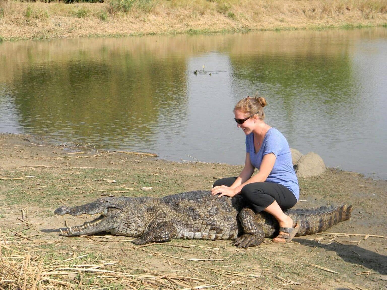 Paga Crocodile Pond: Ghana’s Unique Human-Crocodile Pond. - Akwaaba App